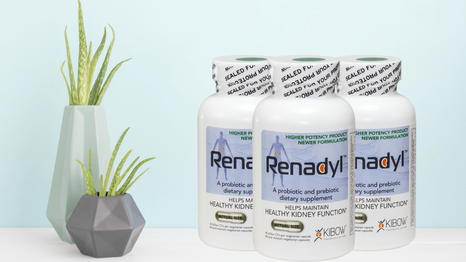 My Journey Losing Kidney Function - Renadyl™ Blog