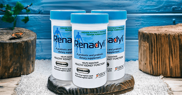 What is Renadyl Used For - Renadyl™ Blog Kidney Health