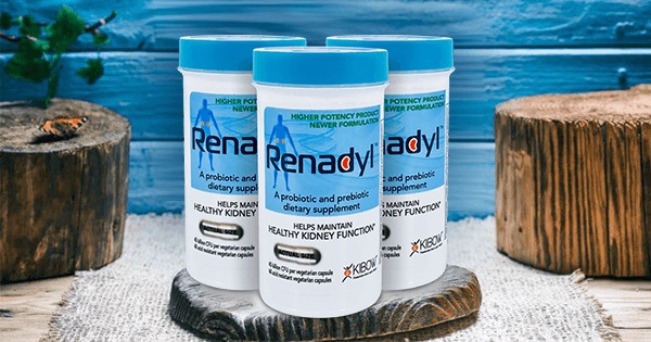 What is Renadyl Used For - Renadyl™ Blog Kidney Health